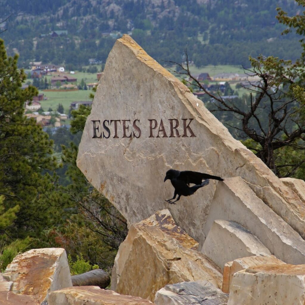 4 Things To Do In Estes In The Summer – Book Your Cabin!